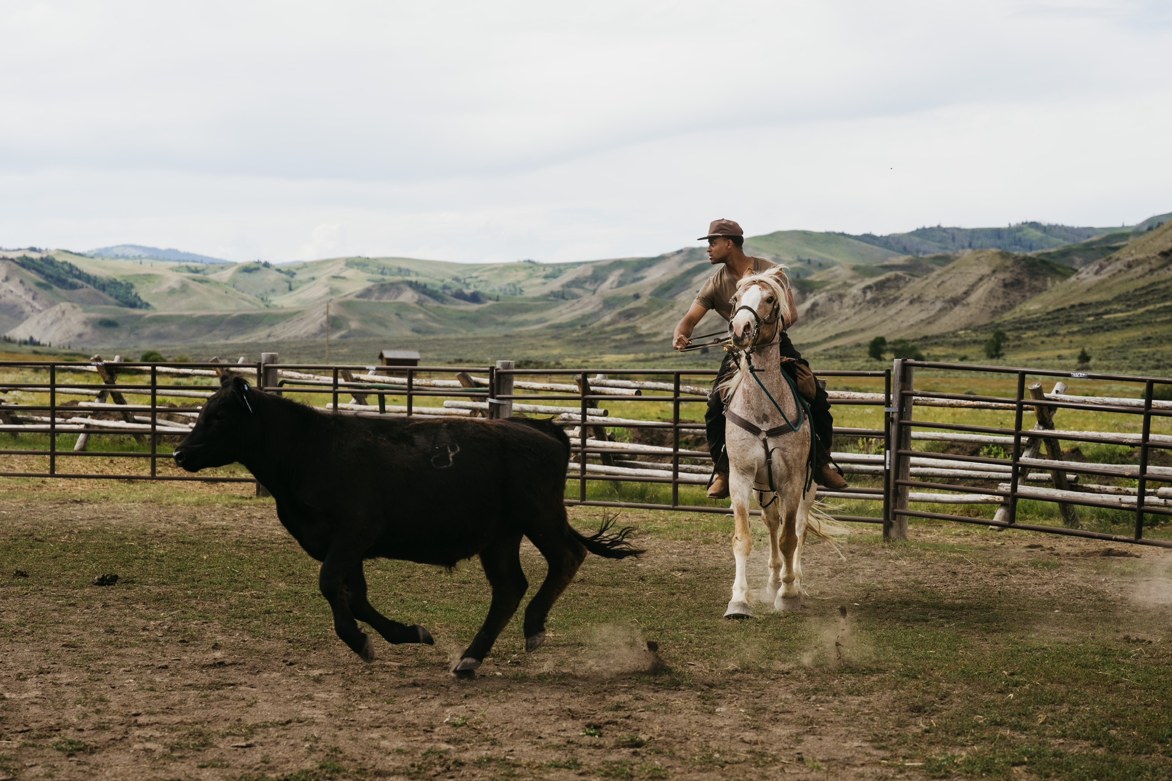 Activities - Goosewing Ranch